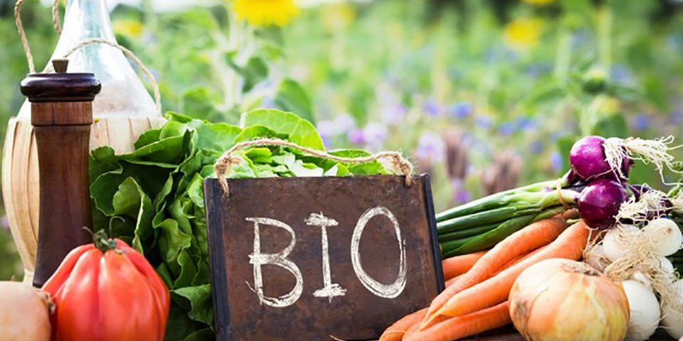 L’agriculture biologique s’invite à notre table! – NOUS DEMAIN